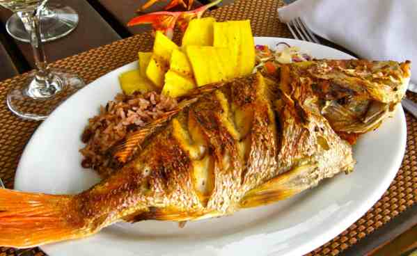 7 Mejores pescados para freír en casa | Pescado a Casa